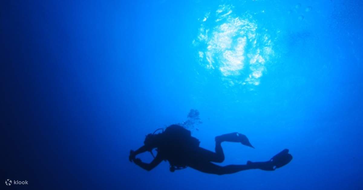 在 Padi 五星級潛水度假村體驗愛琴海群島的 Padi 開放水域潛水員課程 Klook 客路